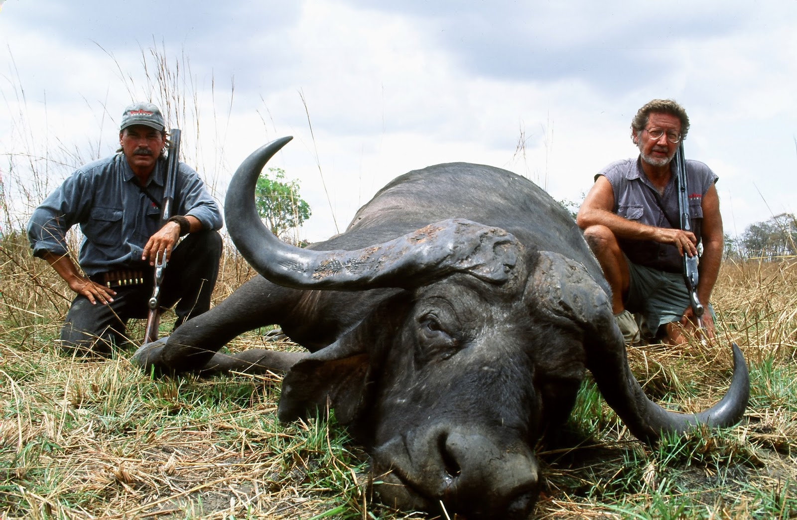 DIIZCHE SAFARI ADVENTURES Blog: South Africa Buffalo Safari: With ...