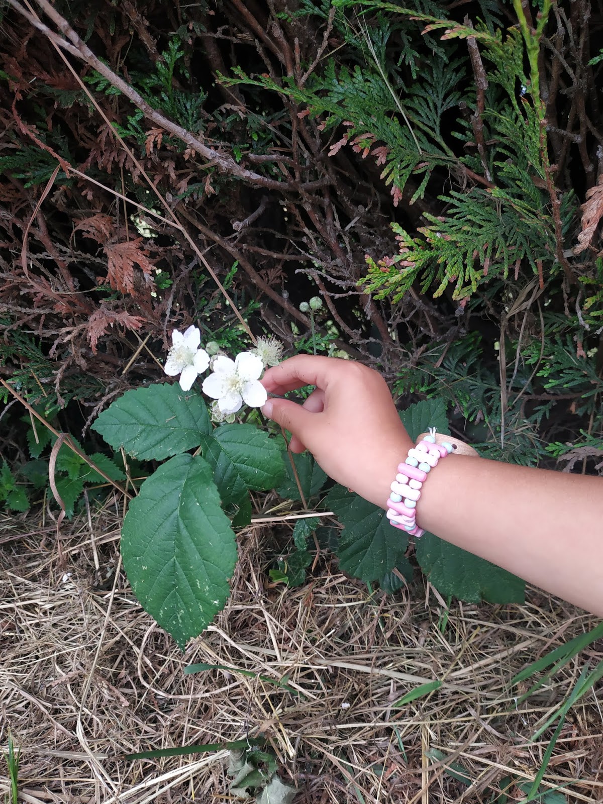 BINGO MAHAI-JOLASAK HAUR HEZKUNTZAN