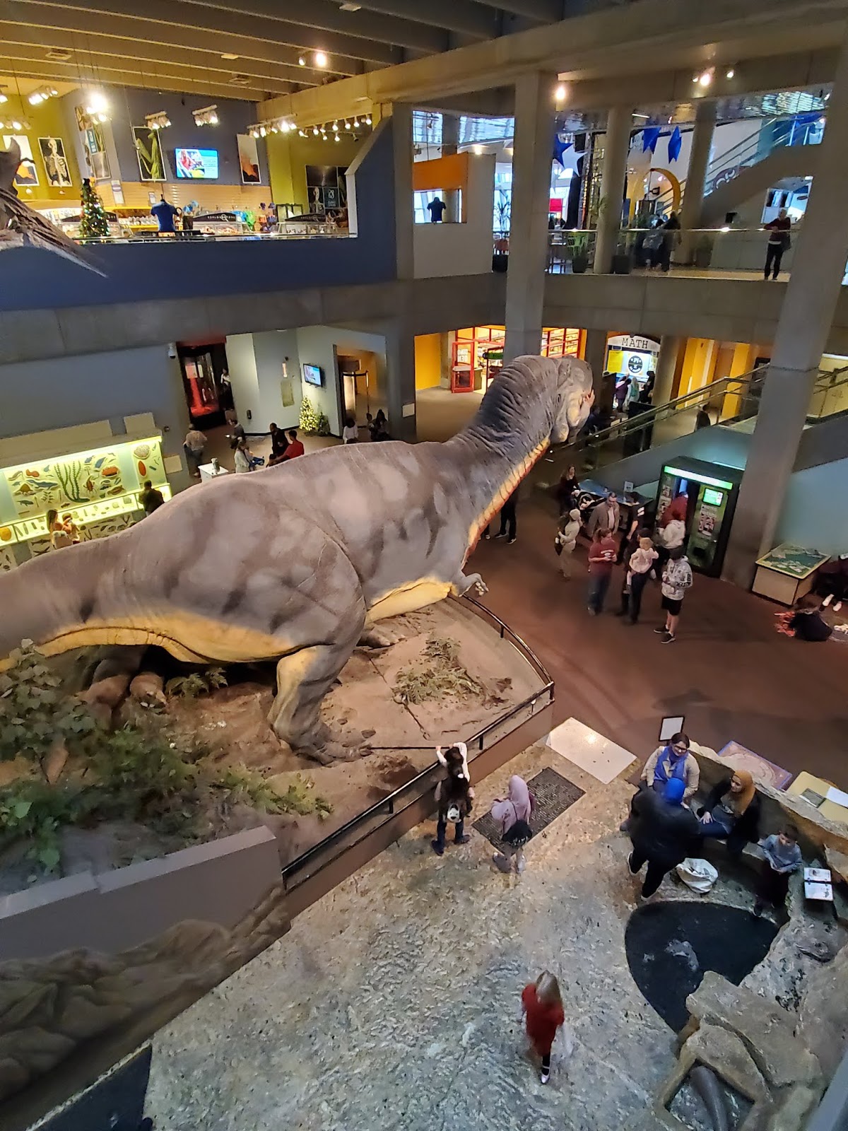 Play St. Louis: St. Louis Science Center, St. Louis City