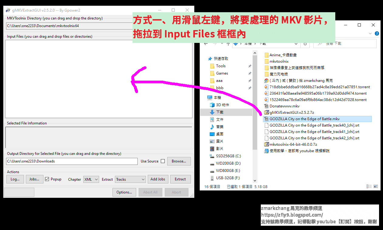 Knows: ☆教您該如何使用 gMKVExtractGUI 工具，抽出影片內的視訊軌、音訊軌、字幕軌☆