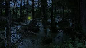 Swamp Lights and Spooklights