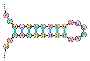 Sepenggal Perjalanan Hidup: BIOTEKNOLOGI