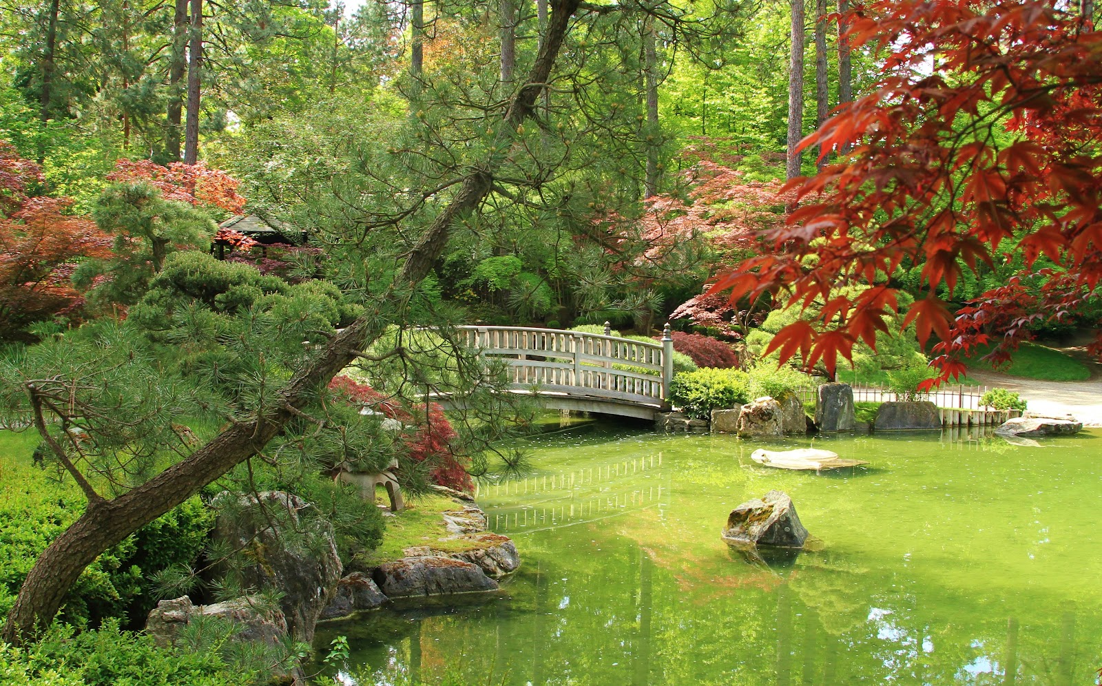 My Pics: Manito Park-Spokane WA