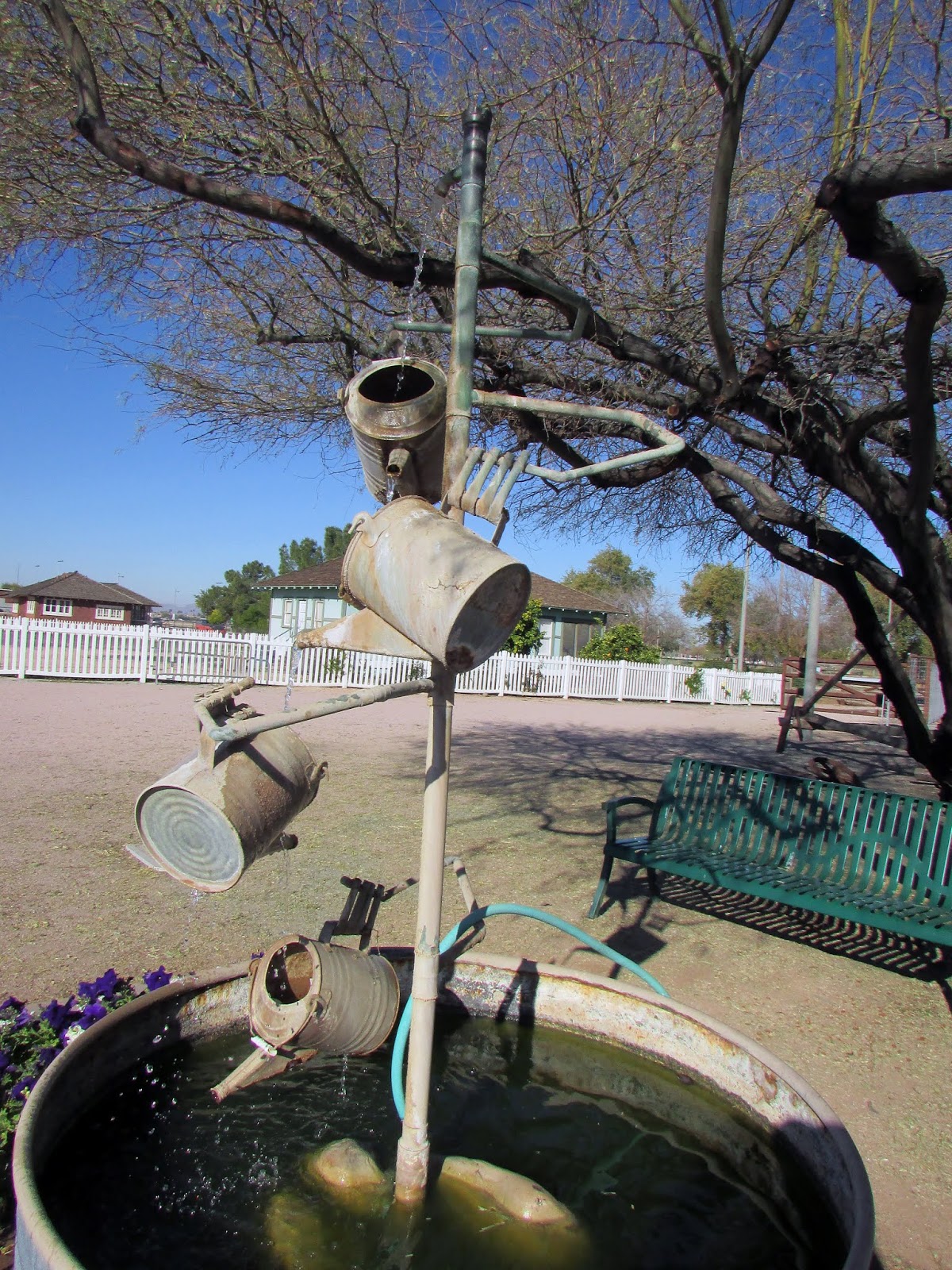 Chandler's Tumbleweed Ranch