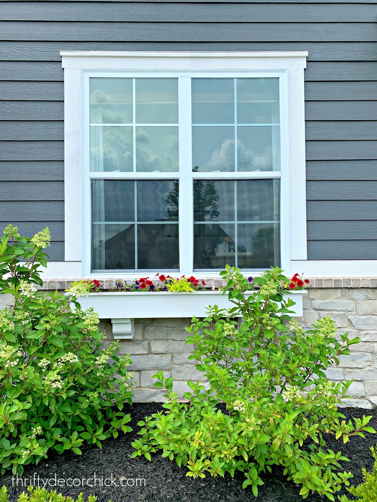 Five Helpful Tips for Growing Beautiful Hydrangeas | Thrifty Decor ...