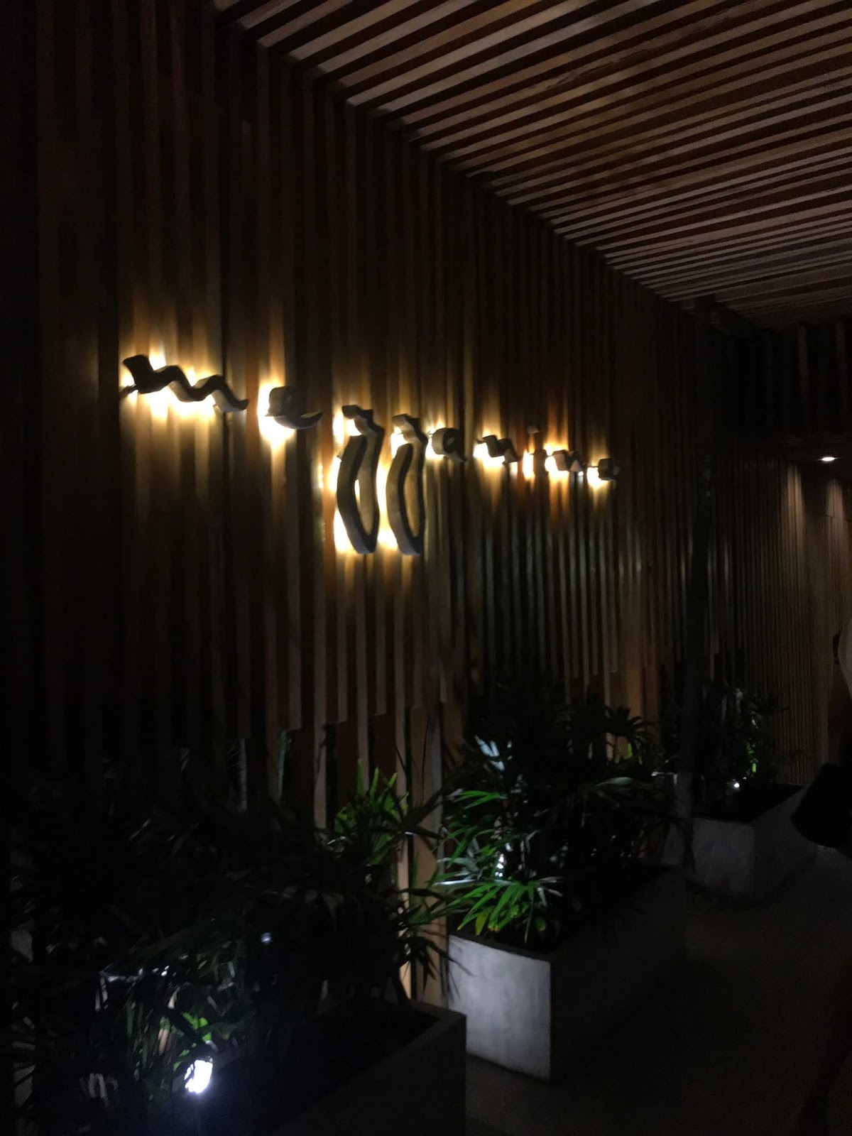 My Tulum Itinerary | Travel Guide (Part Two) | TianShanae