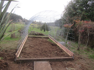 Life On Alderhill Farm: My New Cattle Panel Tunnel Greenhouse