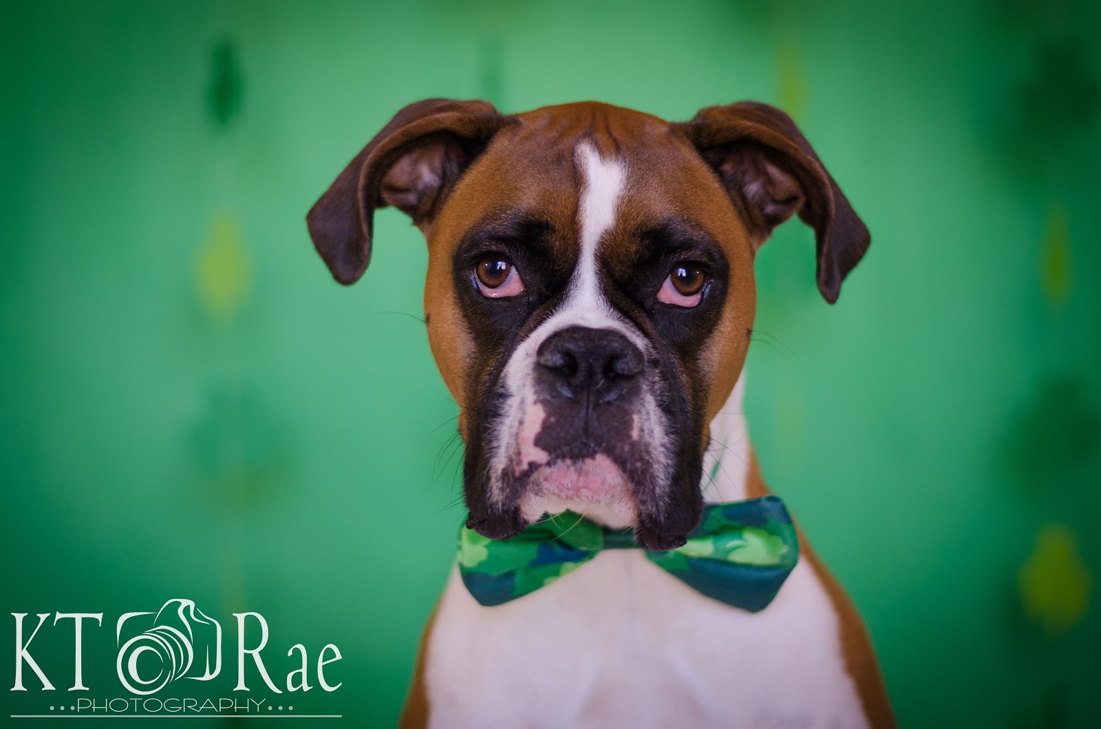KT Rae Photography