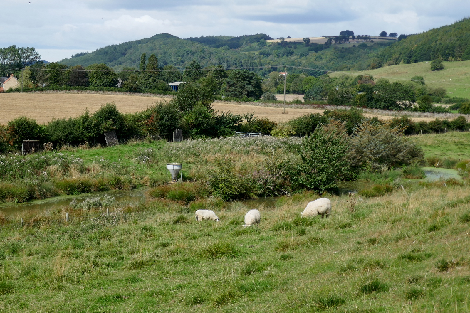 Walking in North Yorkshire