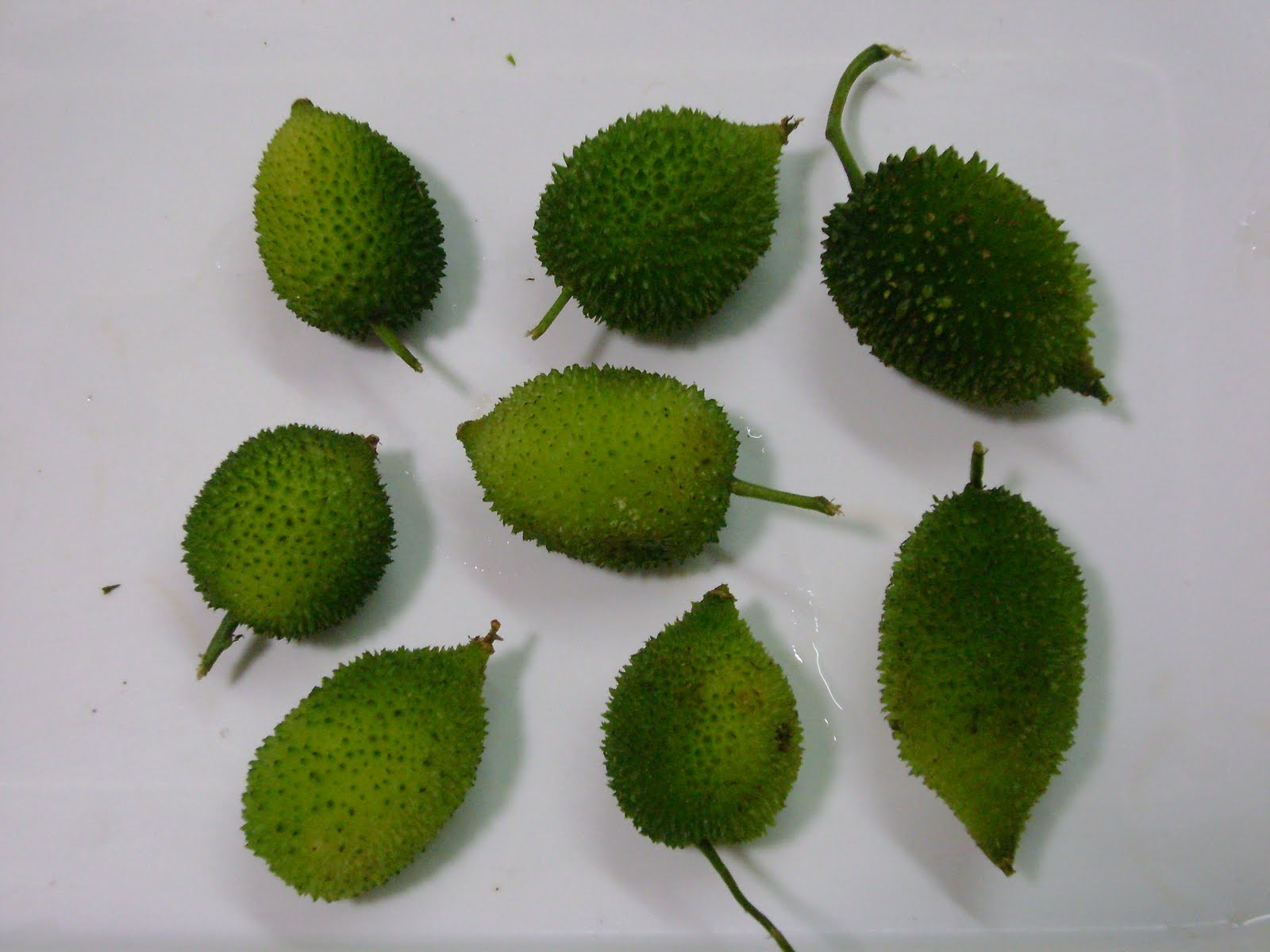 VEGETARIAN: Akakarakaya(teiselgourd) potato gravy curry