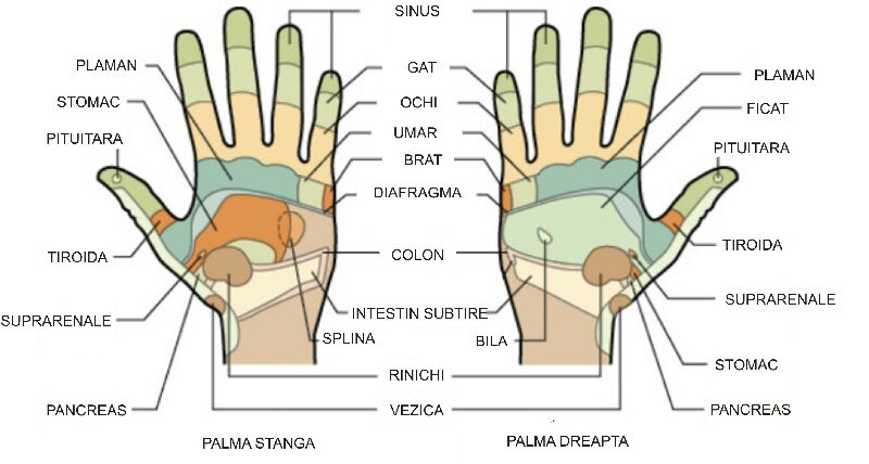 Chipurile: Corpul energetic, eteric, vital al omului