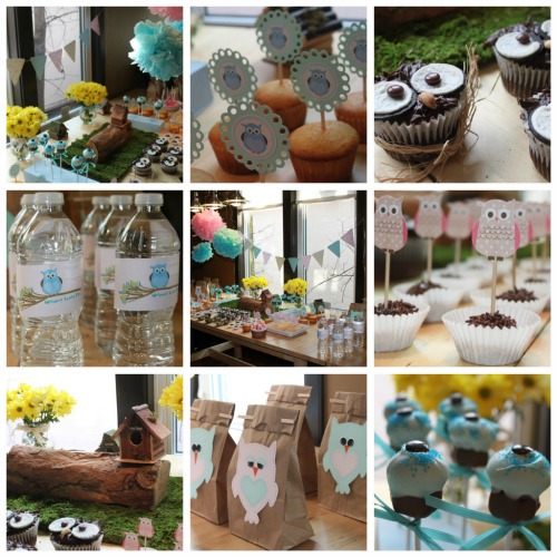 Ocupar-se Zelosamente - A gosto da Erica: "Lanche Coruja"