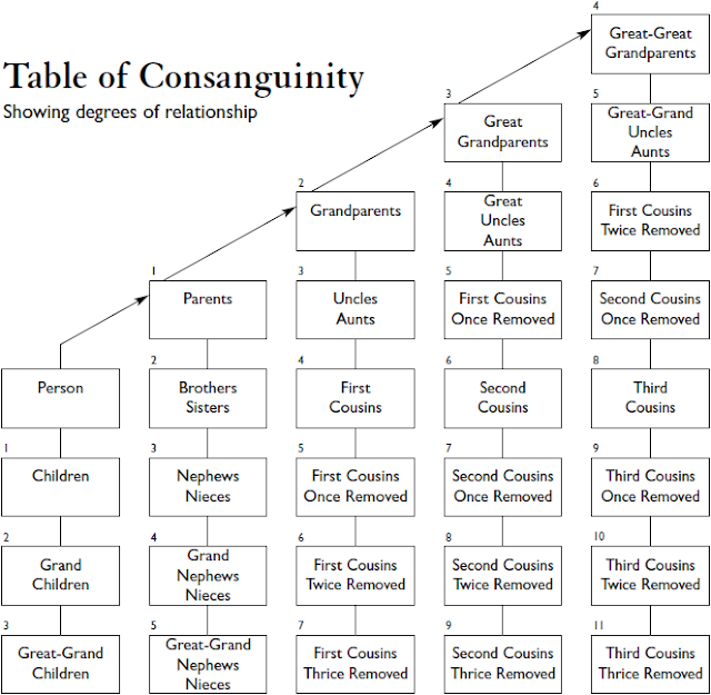 South Jersey Catholic Magazine: July 2015