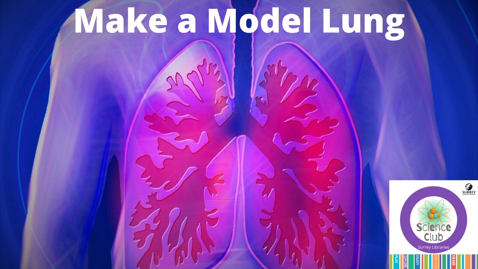 Surrey Library Lab: Make a Model Lung