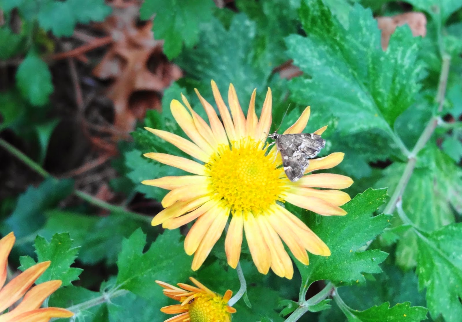 Live and Learn-Toss and Turn: A Second Look--October 29, 2014