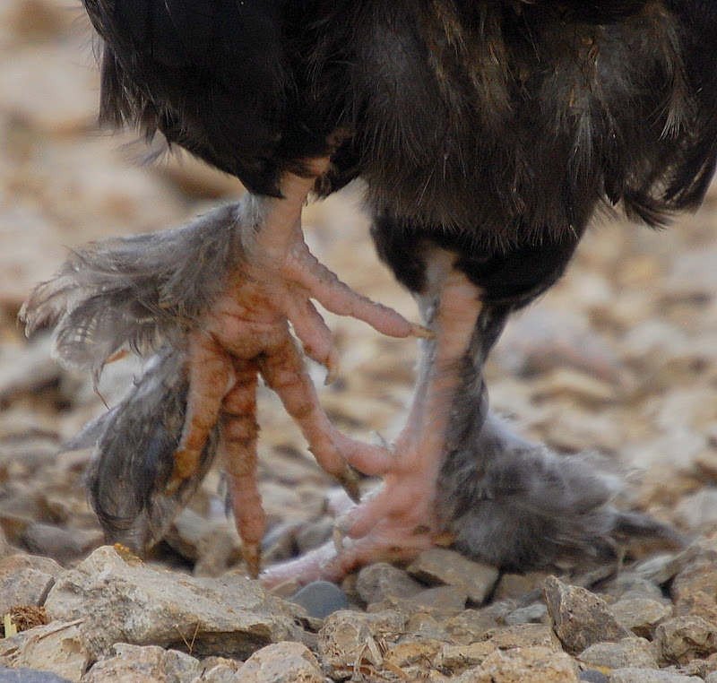 Crosswinds Farm: 2012