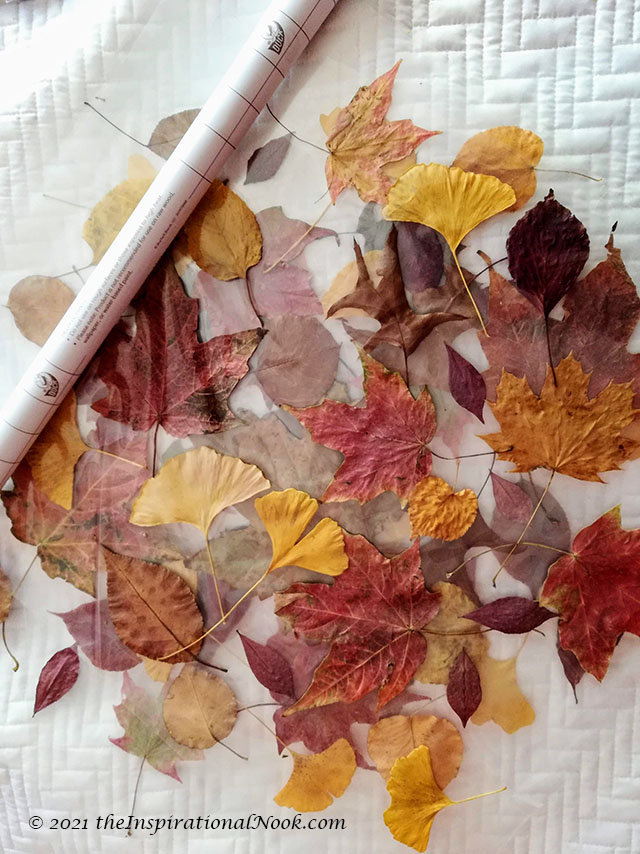 How to Make Striking Autumn Leaf Suncatchers- Easy DIY