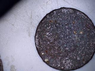 The Treasure Beaches Report Direct From Florida's Treasure Coast.: 7/6 ...