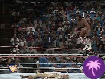 Retro Oasis: A Taste of the New Generation: Chapter 3:16: WWF ...