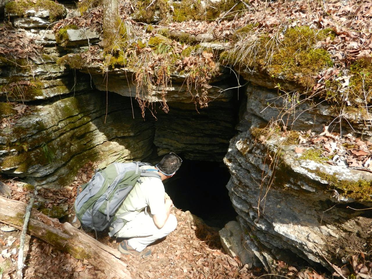 SmallWorld: Cedars of Lebanon State Park