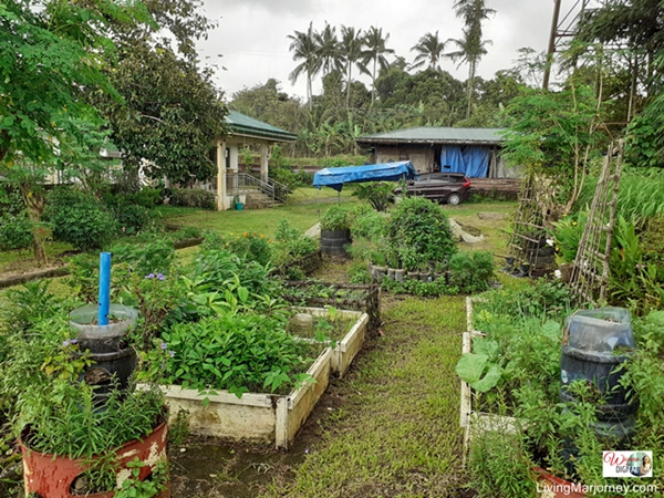 Woman In Digital: Day 1 Farm Tour in Calabarzon: Sanctuario Nature Farm