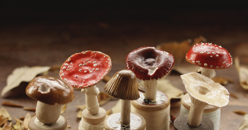 La Maison Naturaliste Tienda Online: Set x 6 honguitos Cake Toppers ...