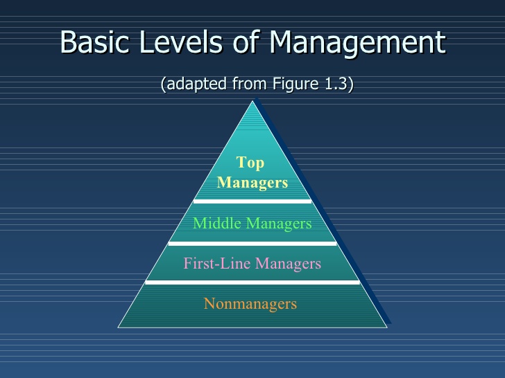 Levels Of Management