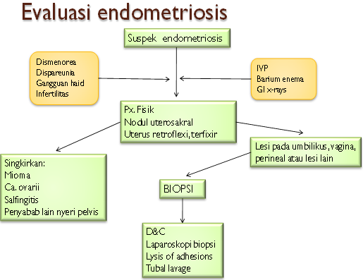obgynmag: Kista Coklat (Endometriosis)