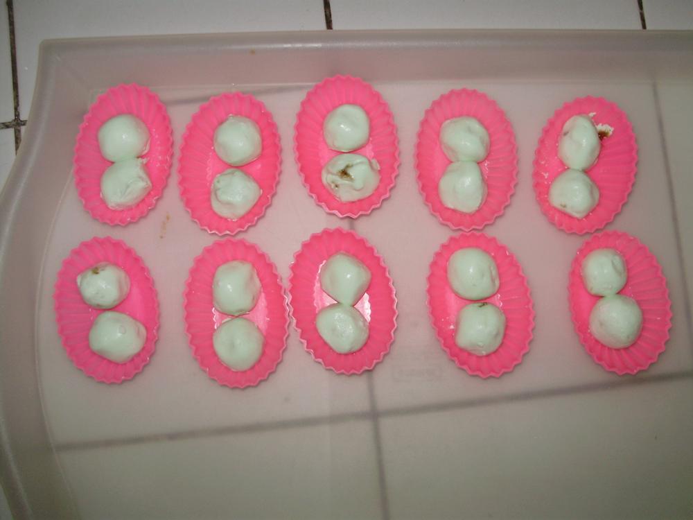 Neeja Shamiza: Puteri Dua Sebilik