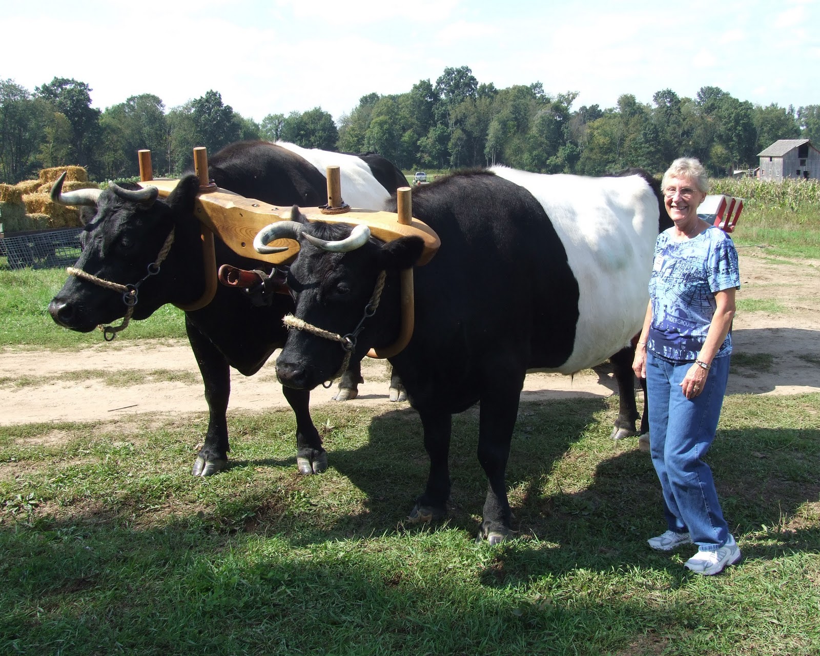 The Livestock Conservancy in Action: 2011