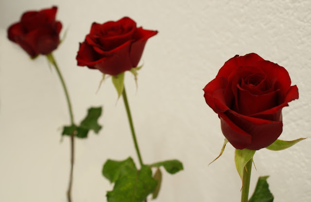 Expect the Unexpected: 3 Kuntum Bunga Ros Merah Untuk Awak.