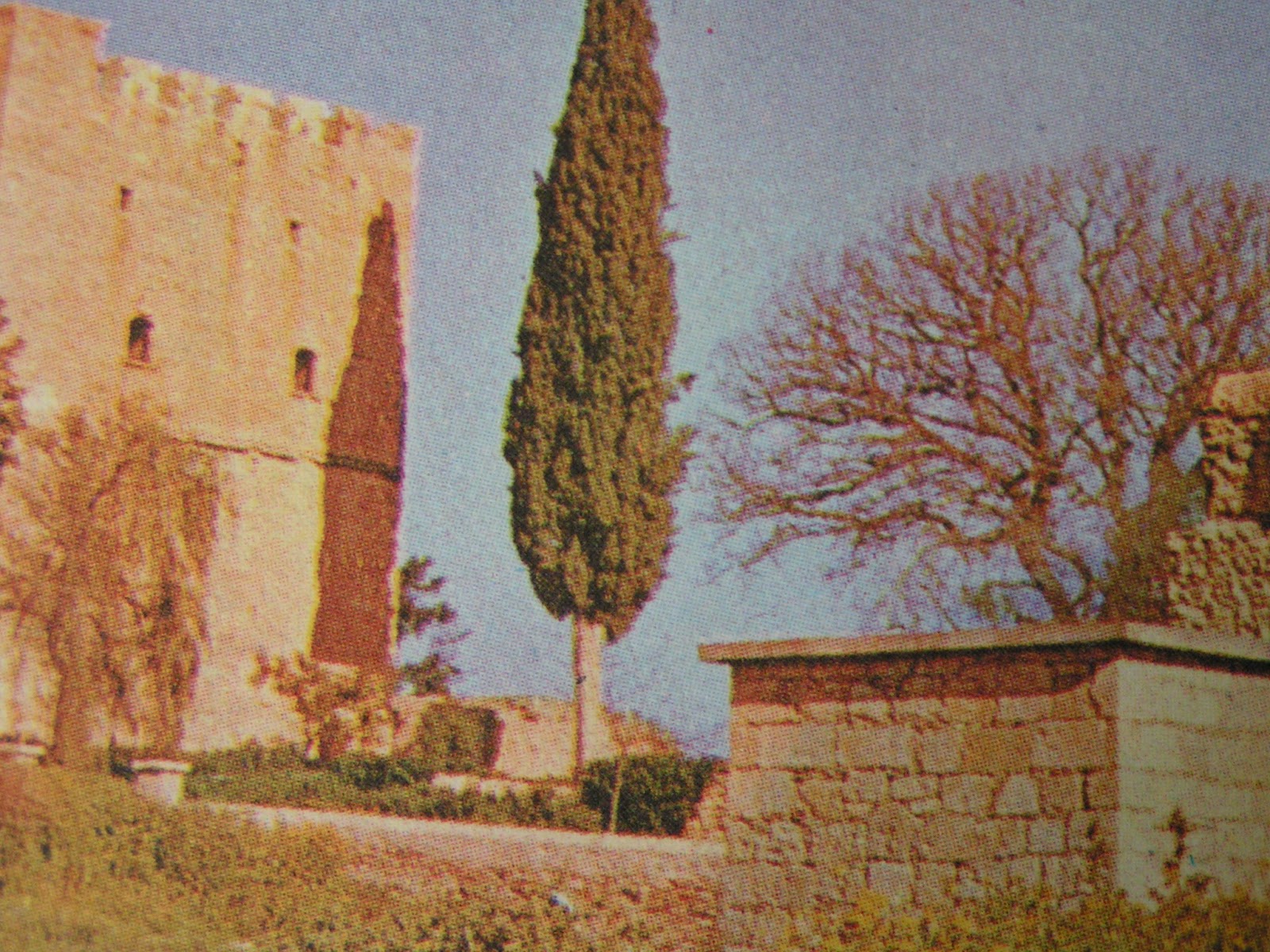 Dampf's modelling page: Four Cyprus Trees from 2012