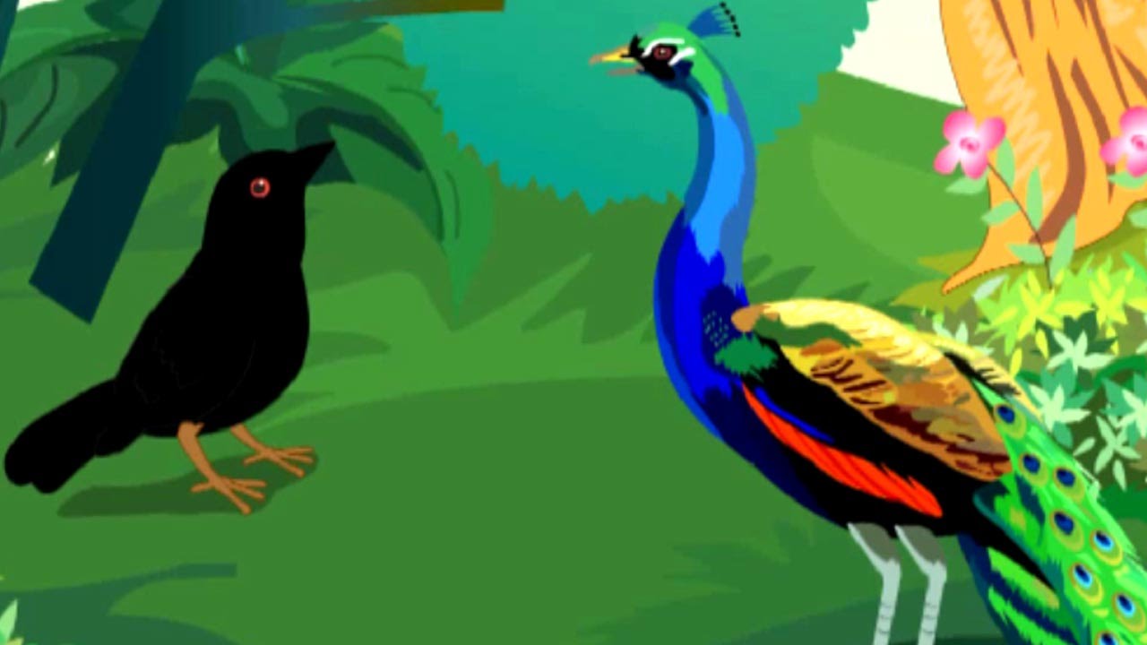 Short story of a Crow, Swan, Parrot and Peacock - Moral Stories For ...