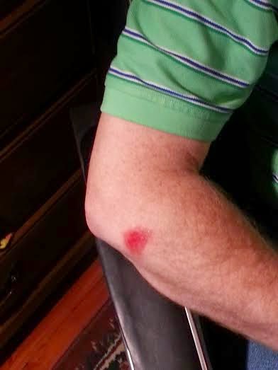 KLR650 Adventures: 01/01/2015 - 02/01/2015