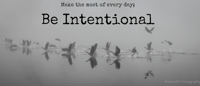 The Bees’ RV: I Is for Intentional