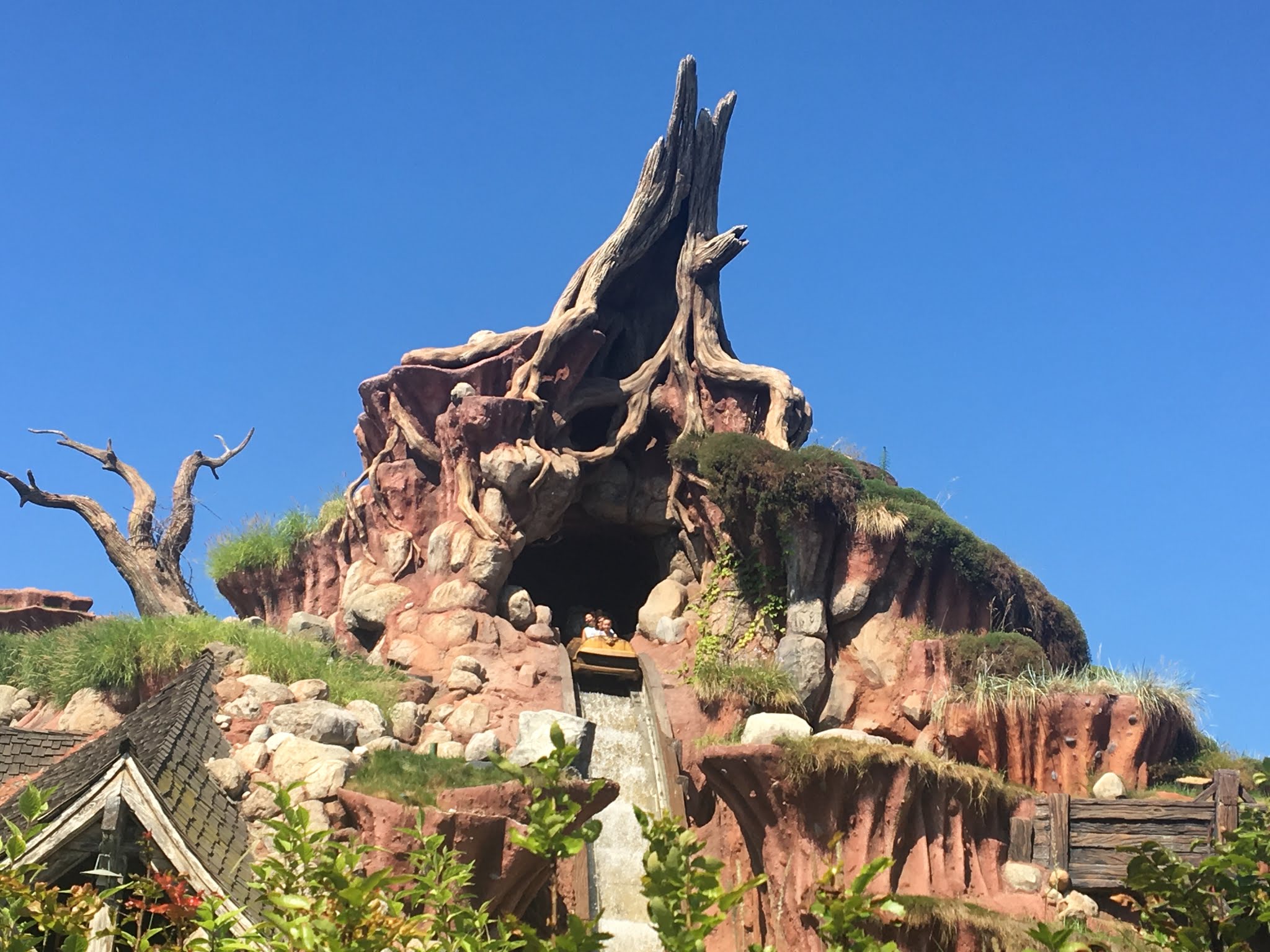10 Fun Facts About Splash Mountain