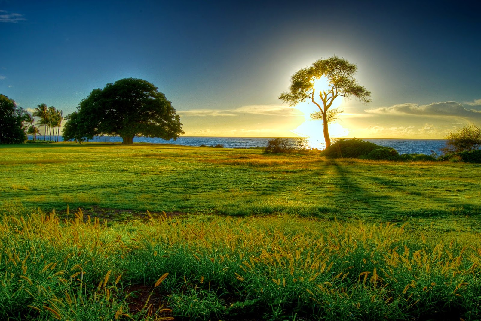 fotografia: Paisagem Natural