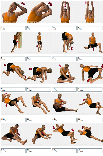 Etirement et souplesse ~ Sport et Santé