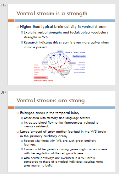 Understanding Williams Syndrome