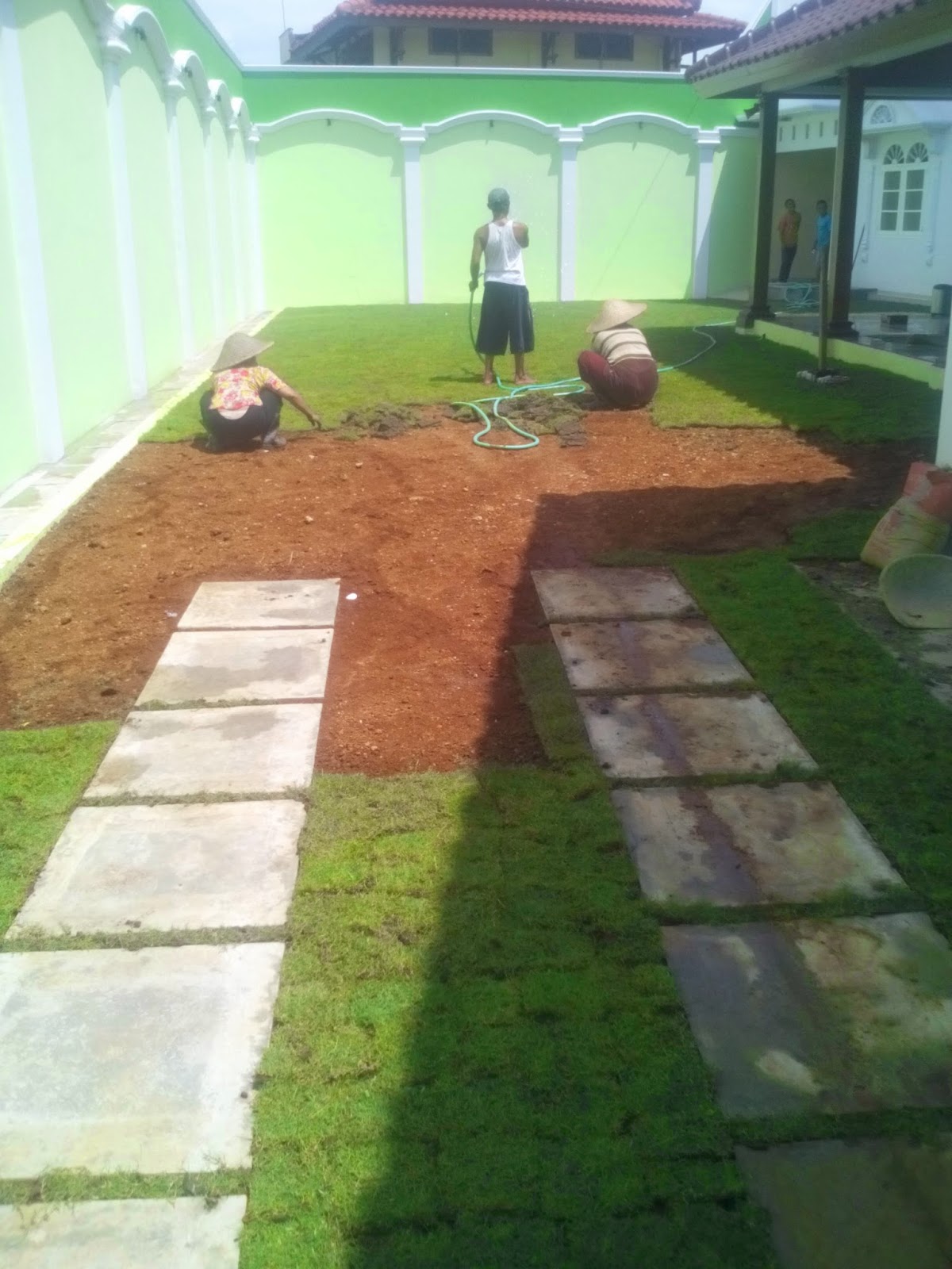 PENANAMAN RUMPUT SWISS DI PATI JALAN KHA DAHLAN NO 16 JAWA TENGAH BU ...