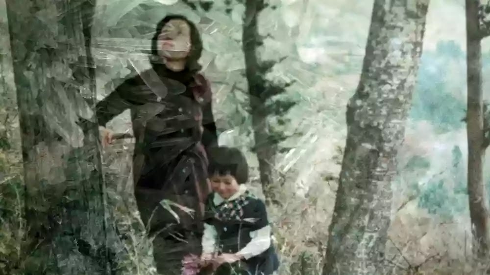 Safe in Their Alabaster Chambers - Summary and Analysis