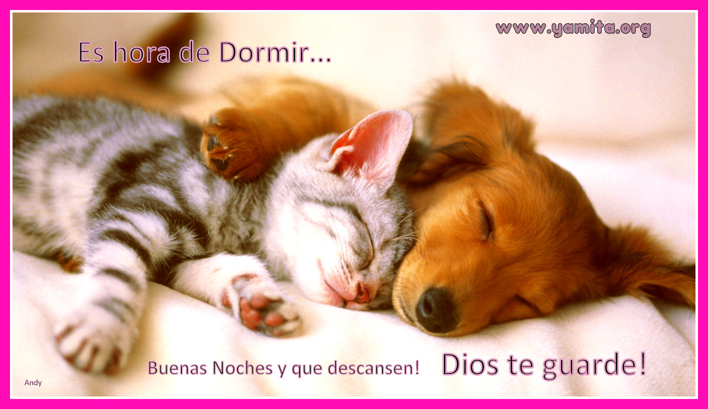 Tiernas imagenes de amor - Imagenes de amor - Imagenes tiernas: Tiernas ...