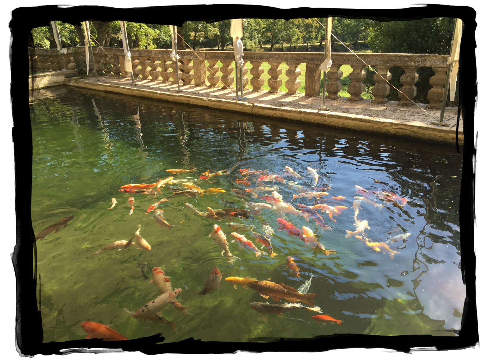 Have Some Decorum: My Adventures in Provence: Part 3