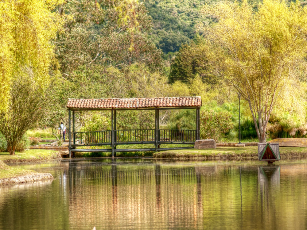 TABIO ESTA ES ¡TU CASA!: ¿A DONDE IR?
