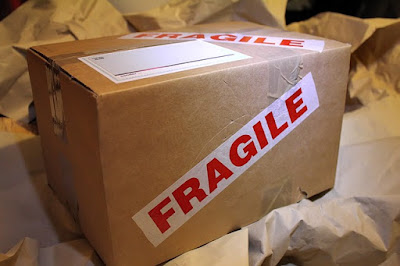 Packer's Guide: Tips To Ensure Safe Delivery of Fragile Items