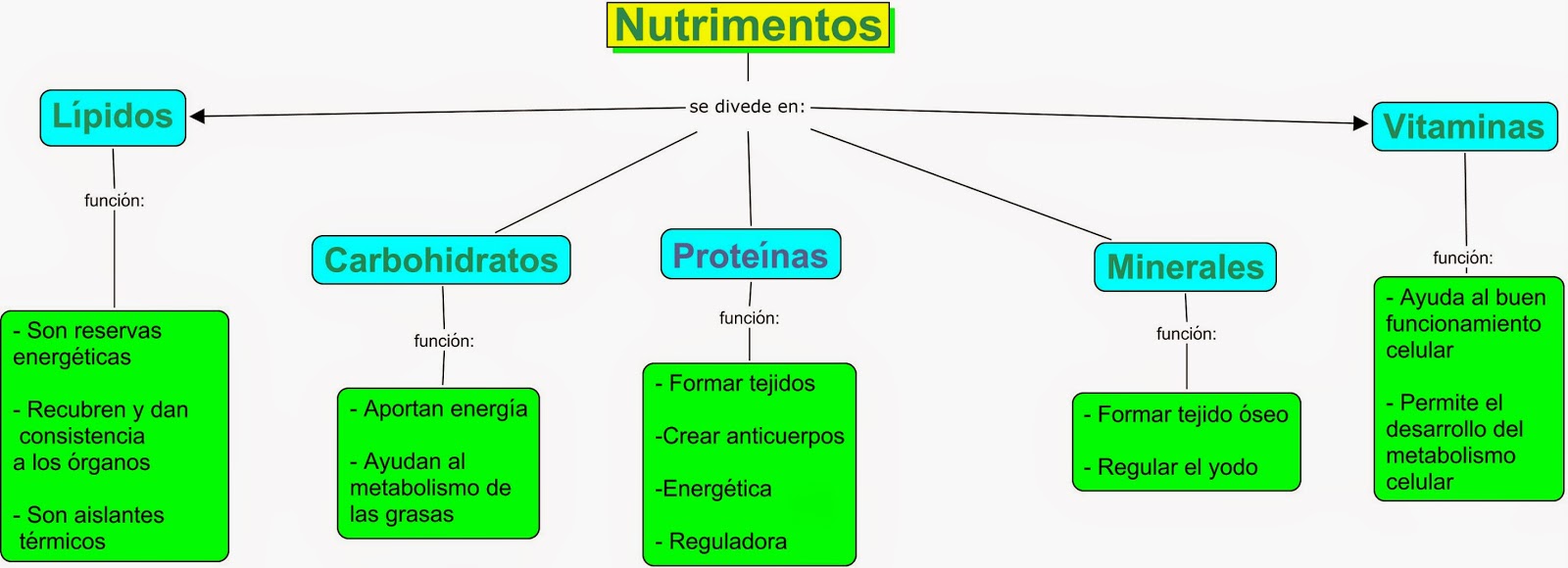 gipsyeducacion: MAPA CONCEPTUAL SOBRE LOS NUTRIENTES