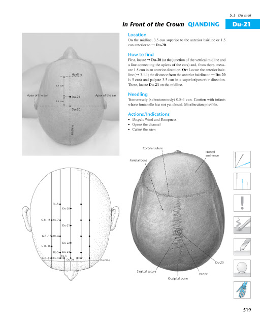 Acupuncture Masters: Acupuncture Points Database - Du Channel