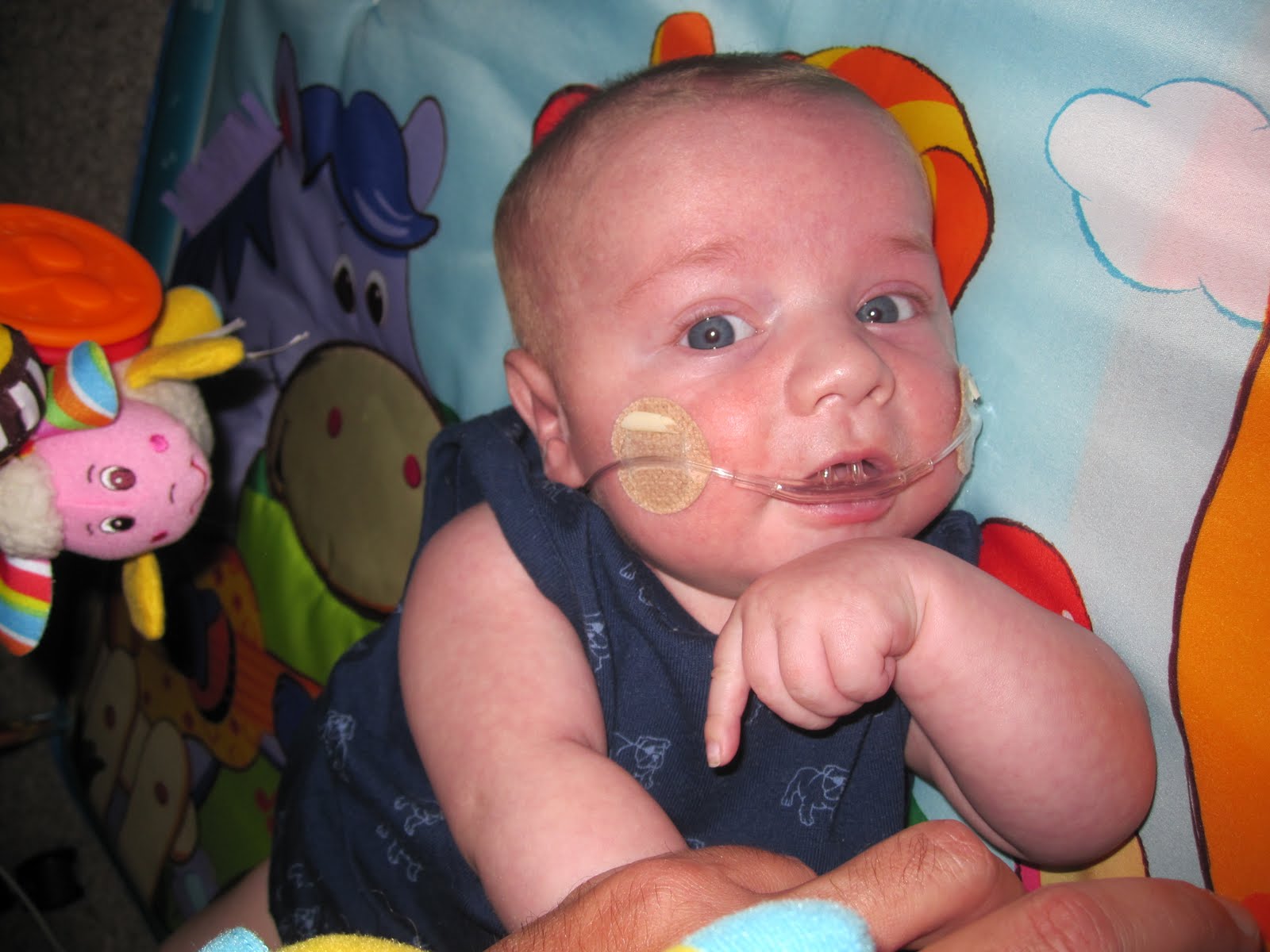 A Fighting Chance: Our Happy, Fat Little Baby