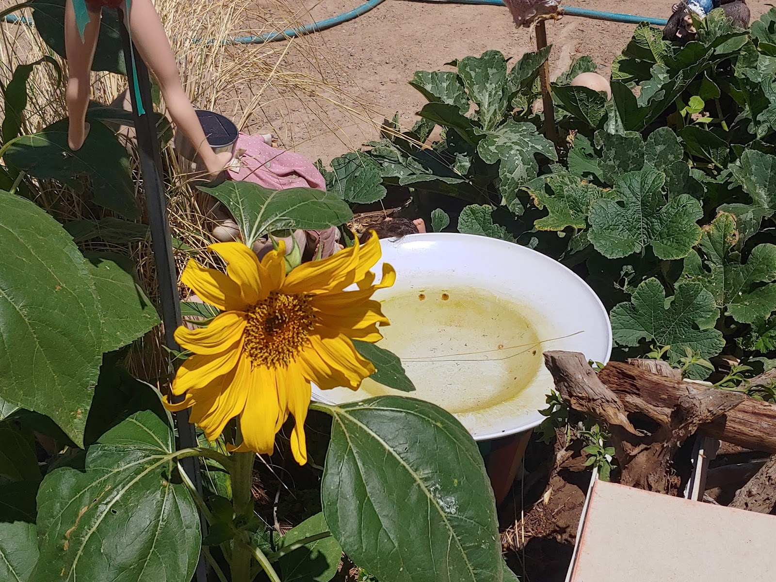 Spring Horror Garden???