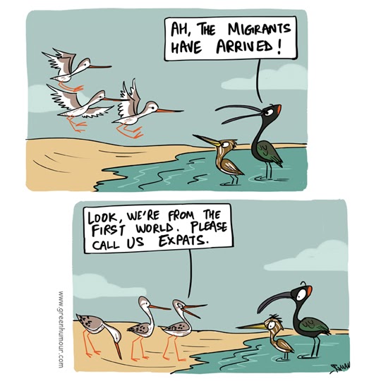 Green Humour: Migratory Birds from the First World